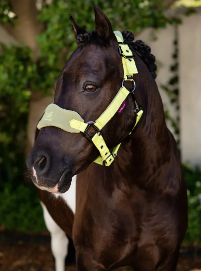 LeMieux Mini Vogue Headcollar and Leadrope Kiwi