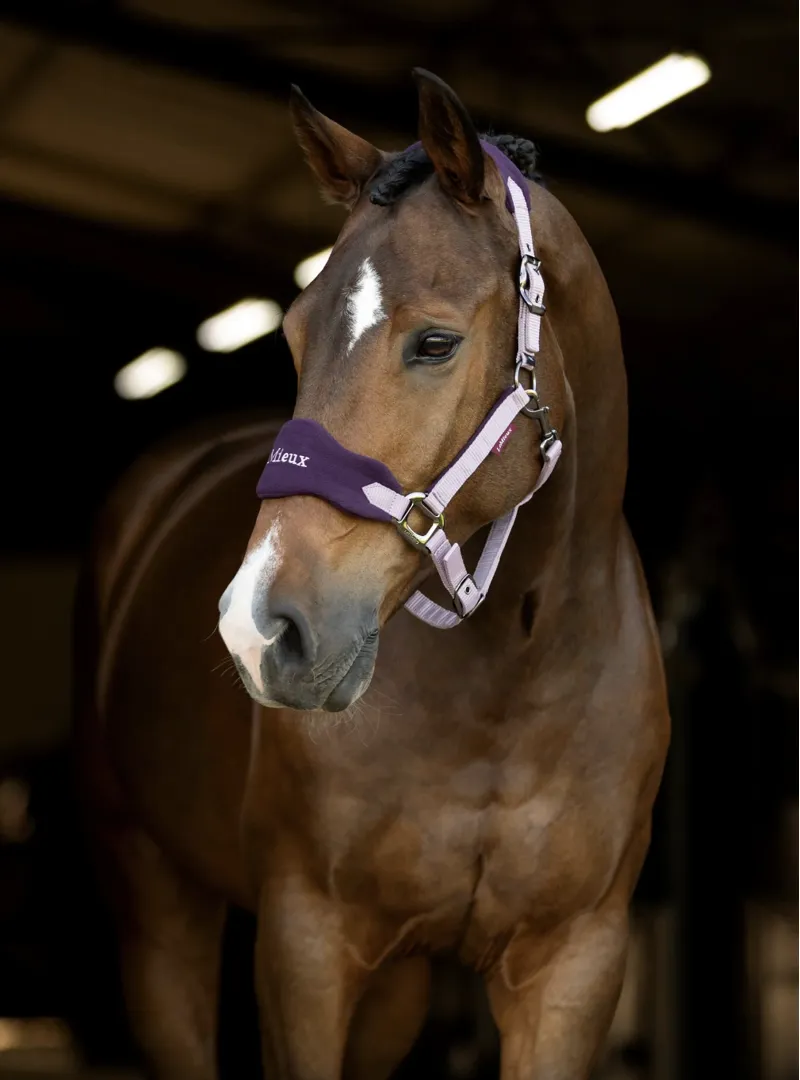 LeMieux Vogue Headcollar and Leadrope Fig
