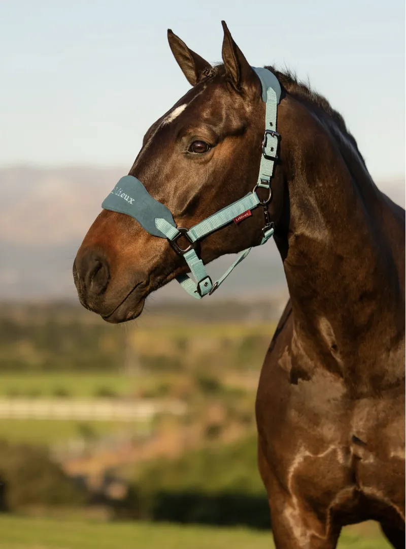 LeMieux Vogue Headcollar and Leadrope Marine