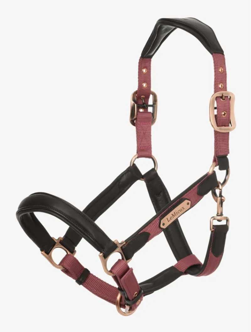 LeMieux Capella Headcollar Orchid