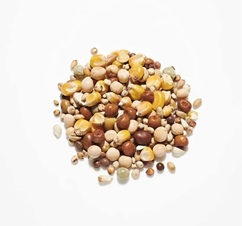 WillsBridge Pigeon Seed 20KG