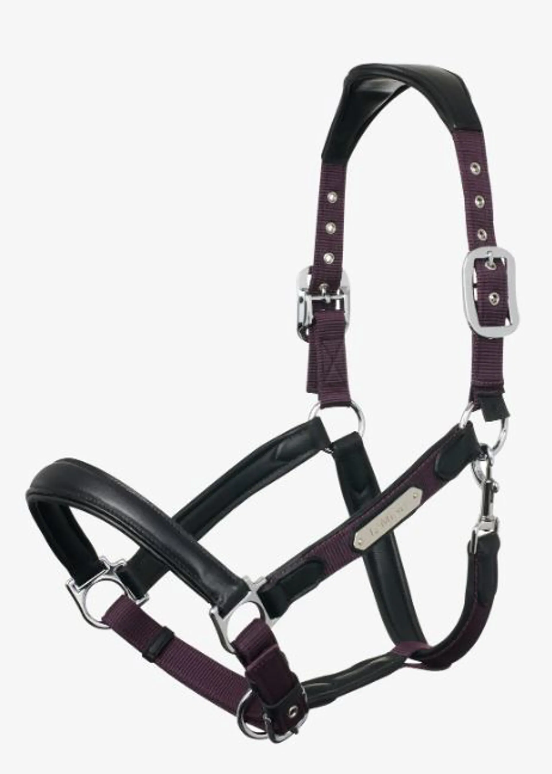 LeMieux Capella Headcollar in Fig