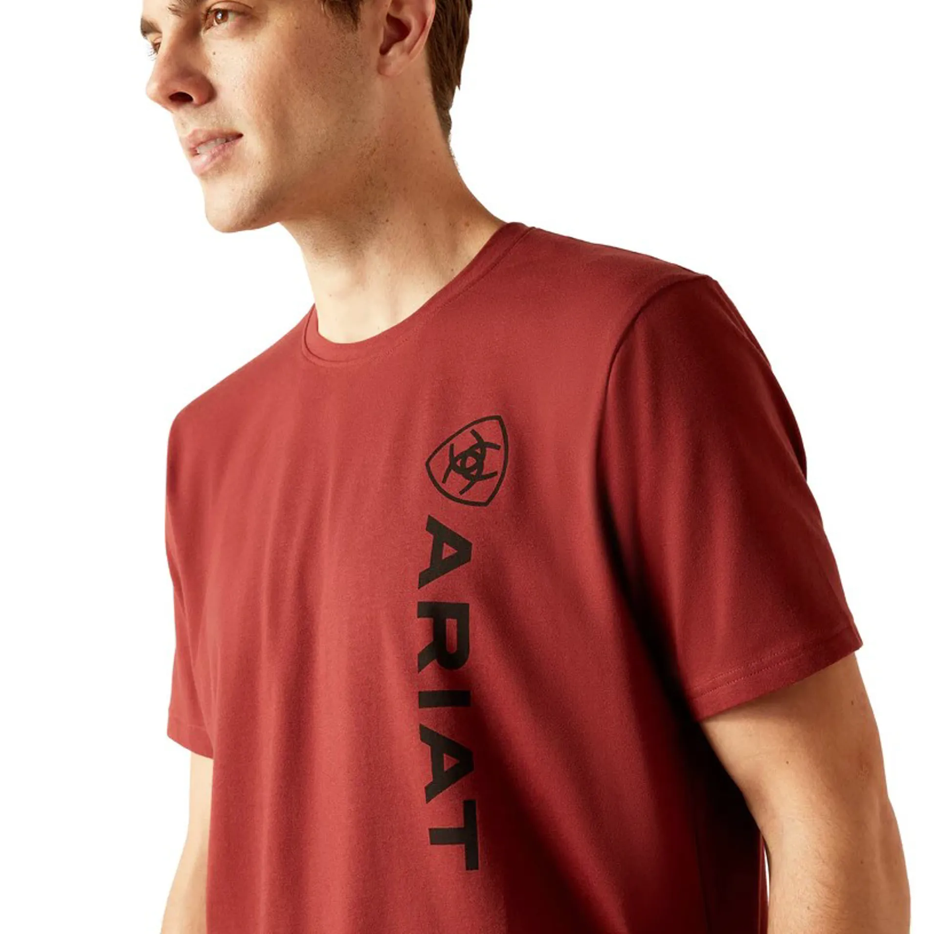 Ariat Vertical Logo Short Sleeve T-Shirt Mens in Sun-Dried Tomato